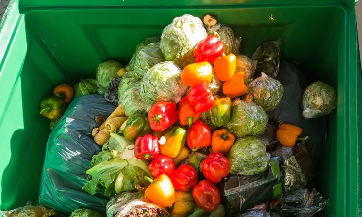 Conclusion: How to Reduce Food Waste | Noa: Understand the news that ...
