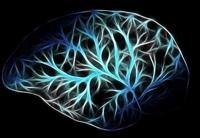 How Isolation Has Altered Your Mind | Noa: Understand the news that matters